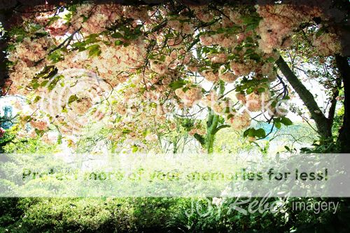 Kind Kindred : Brandi : Joy Rebel Diaries - Kind Over Matter